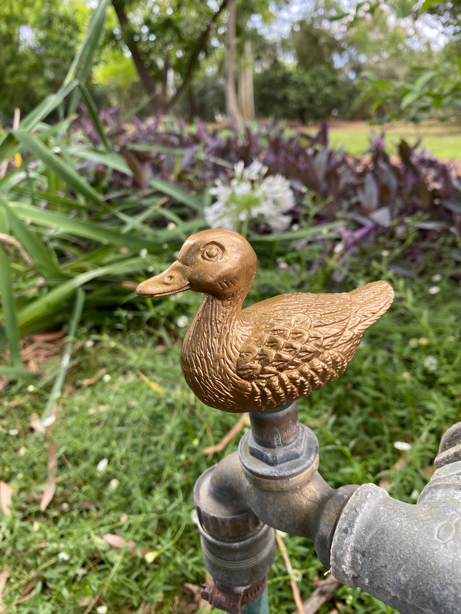 Duck Tap Top – Corner of the Garden