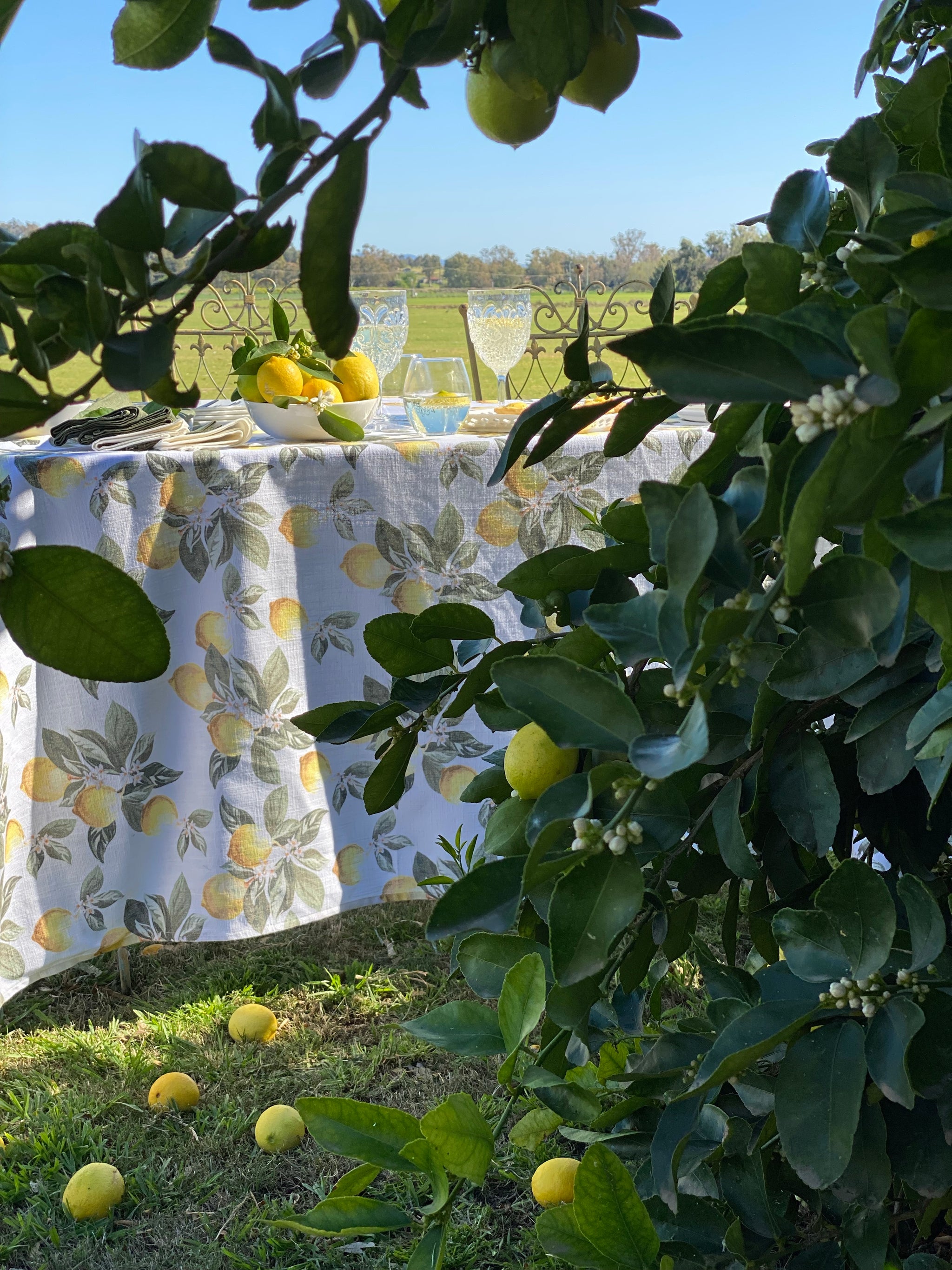 Lemon Amalfi Tablecloth – Corner of the Garden